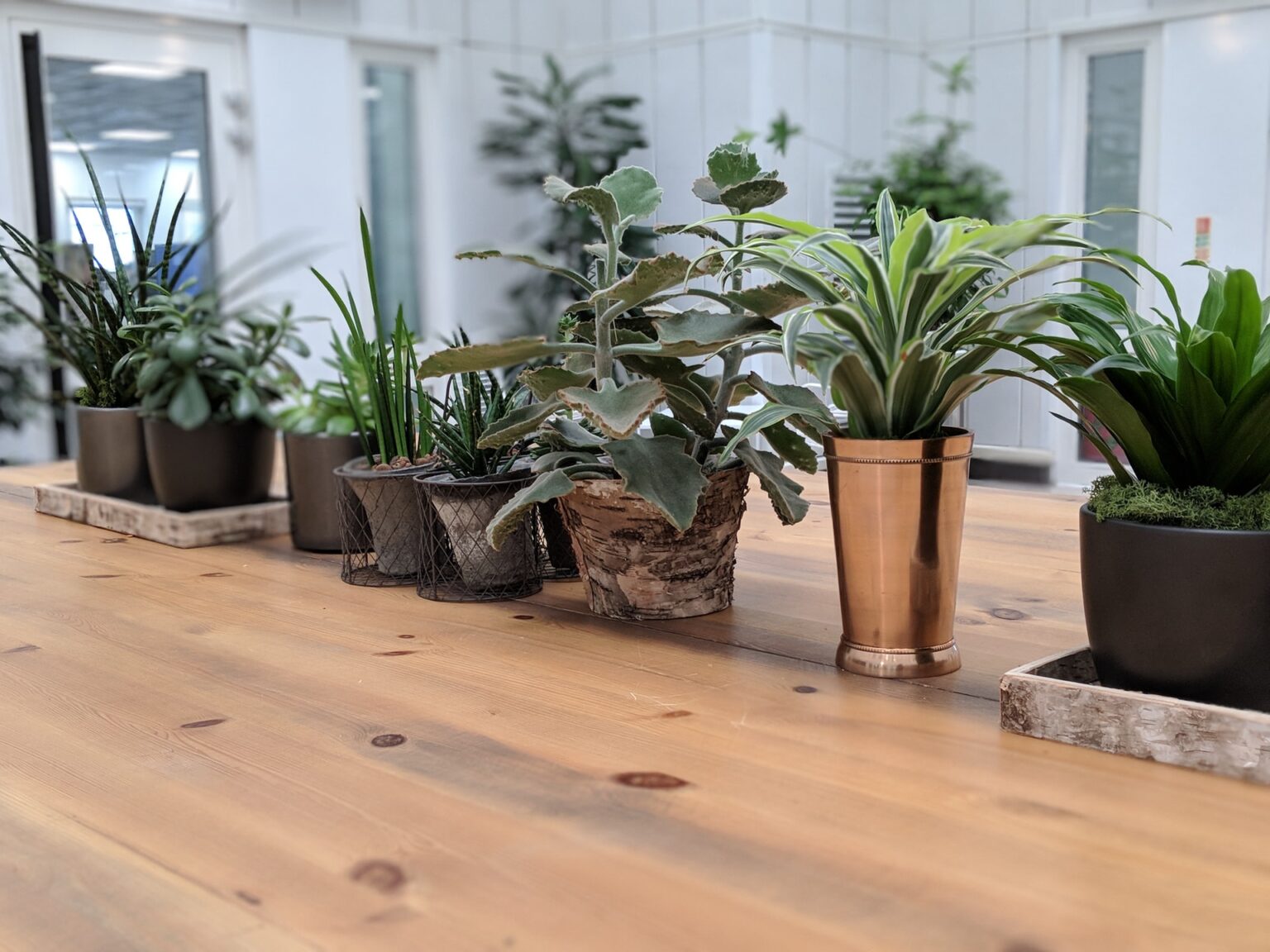 Lightboxes are used to illuminate objects - Stark Media